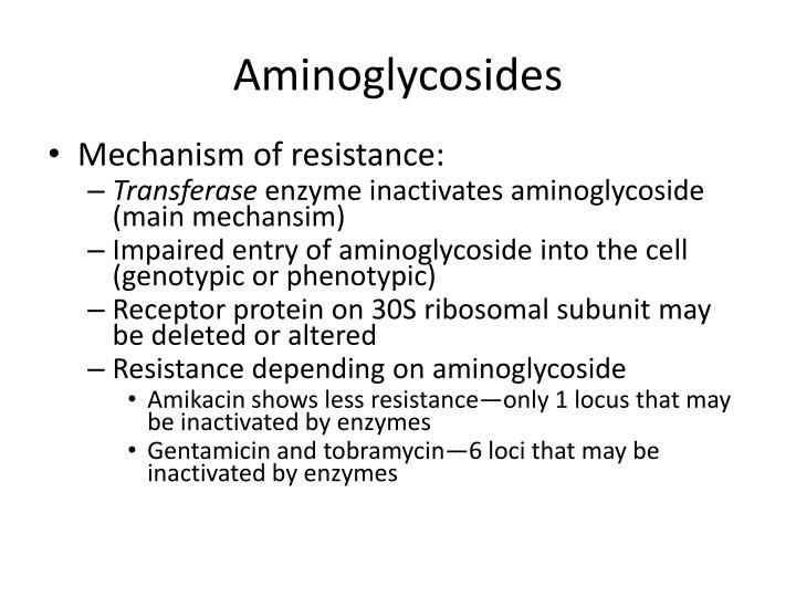 PPT - Aminoglycosides PowerPoint Presentation - ID:3864634