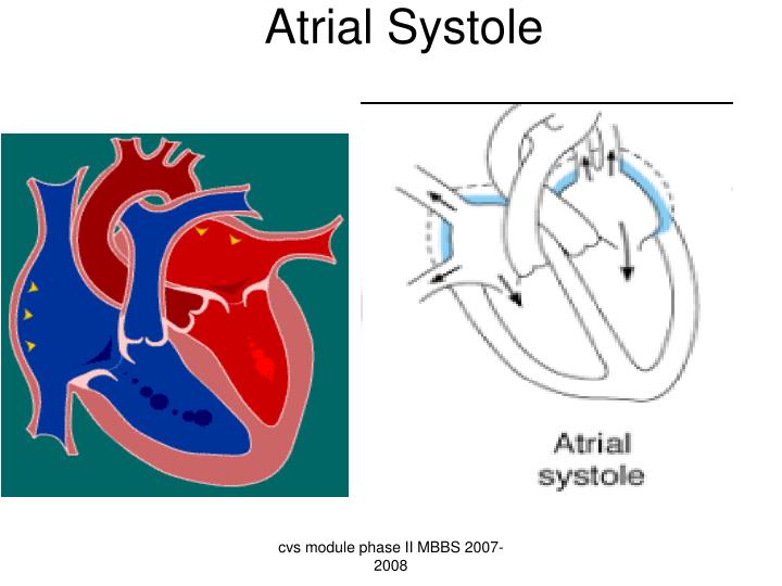 PPT - CARDIAC CYCLE PowerPoint Presentation - ID:3865904