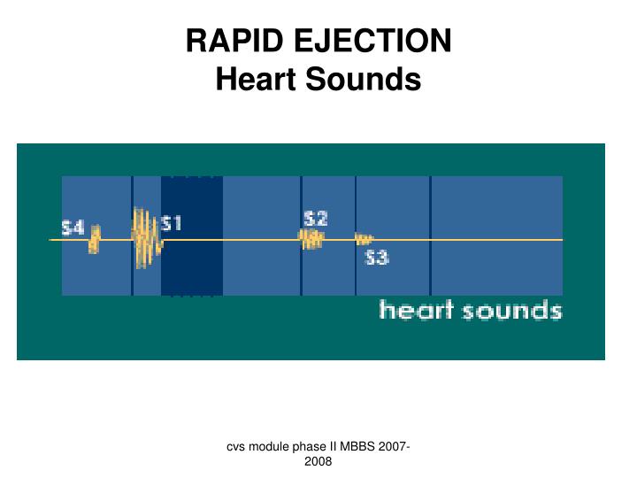 PPT - CARDIAC CYCLE PowerPoint Presentation - ID:3865904