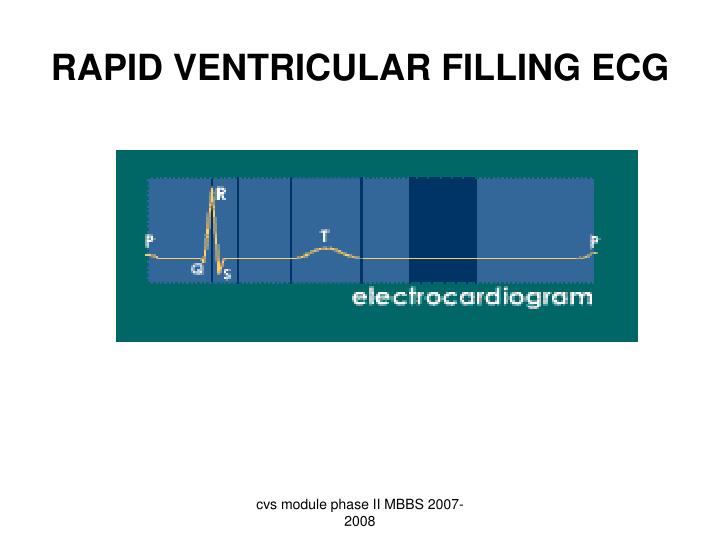 PPT - CARDIAC CYCLE PowerPoint Presentation - ID:3865904