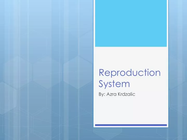 PPT - Reproduction System PowerPoint Presentation, free download - ID ...