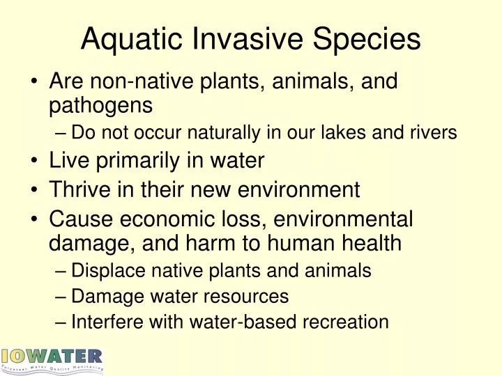 PPT - Aquatic Invasive Species PowerPoint Presentation, free download ...