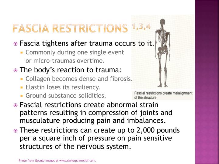 PPT - MYOFASCiaL RELEASE PowerPoint Presentation - ID:3868400