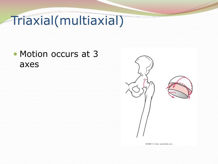 PPT - The Articular System PowerPoint Presentation - ID:3868640