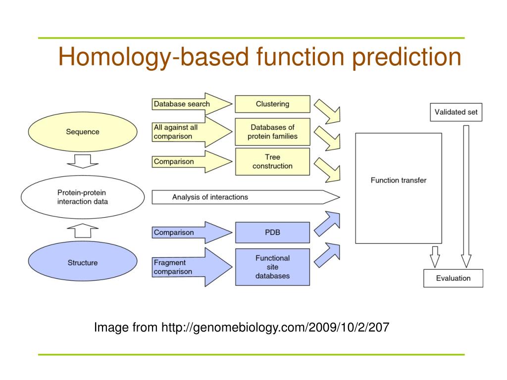 PPT - Gene/Protein Function Annotation PowerPoint Presentation, free ... PPT - Gene/Protein Function Annotation PowerPoint Presentation, free ...