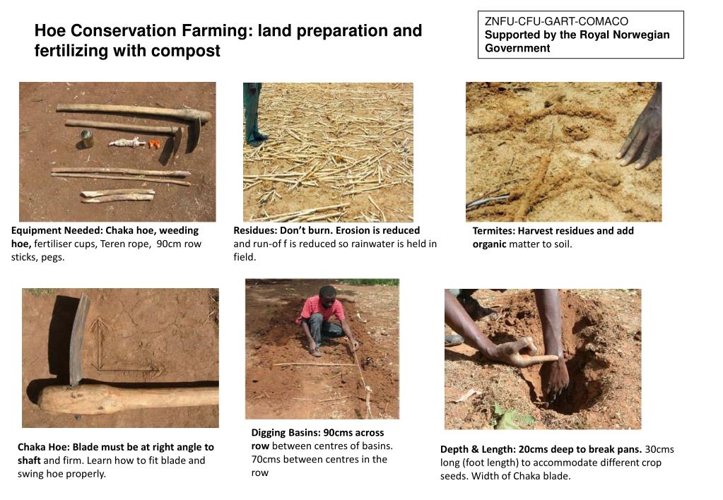 PPT - Equipment Needed: Chaka hoe, weeding hoe, fertiliser cups, Teren ...