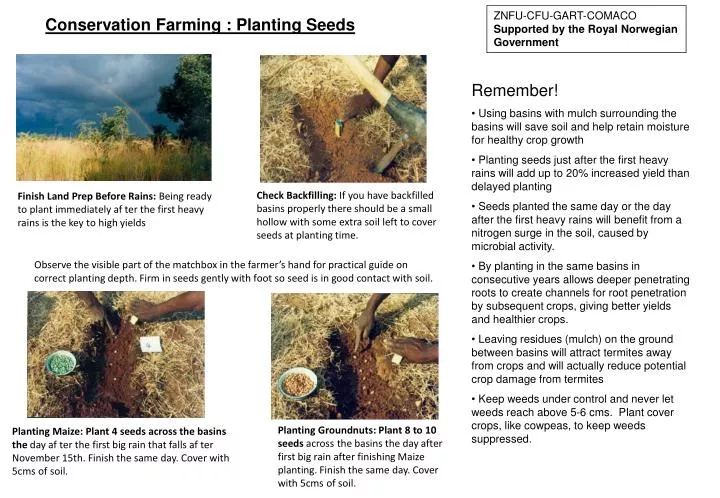 PPT - Conservation Farming : Planting Seeds PowerPoint Presentation ...