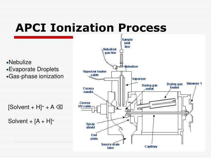 PPT - LC-MS for drugs of abuse and related compounds PowerPoint ...