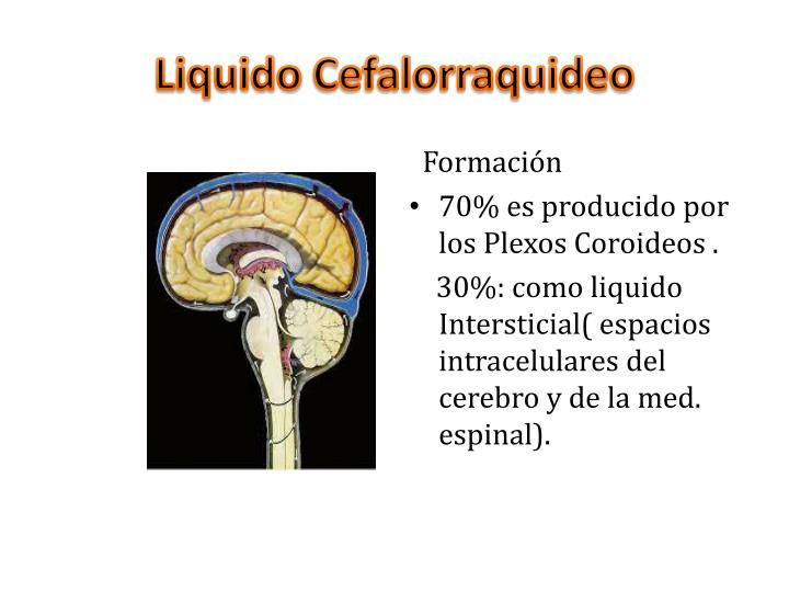 PPT - Liquido Cefalorraquideo . PowerPoint Presentation - ID:3870470