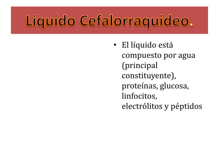 PPT - Liquido Cefalorraquideo . PowerPoint Presentation - ID:3870470
