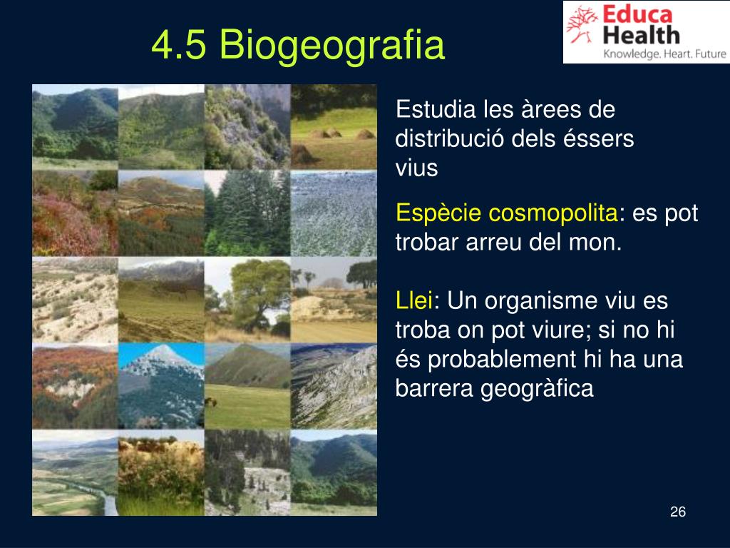 PPT - Tema 4: Biomes i Biogeografia PowerPoint Presentation, free ...