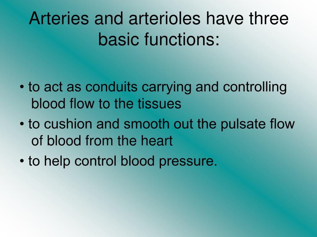 PPT - Blood Vessels PowerPoint Presentation, free download - ID:3873545