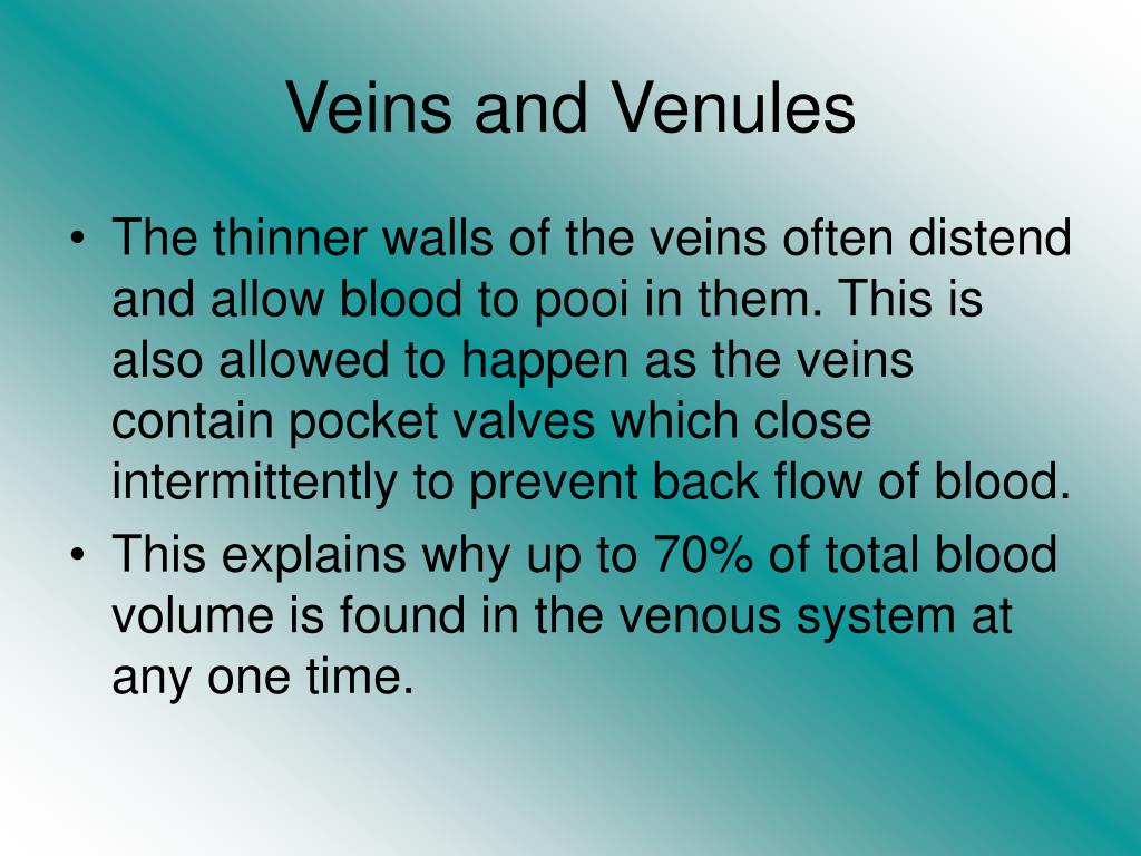 PPT - Blood Vessels PowerPoint Presentation, free download - ID:3873545