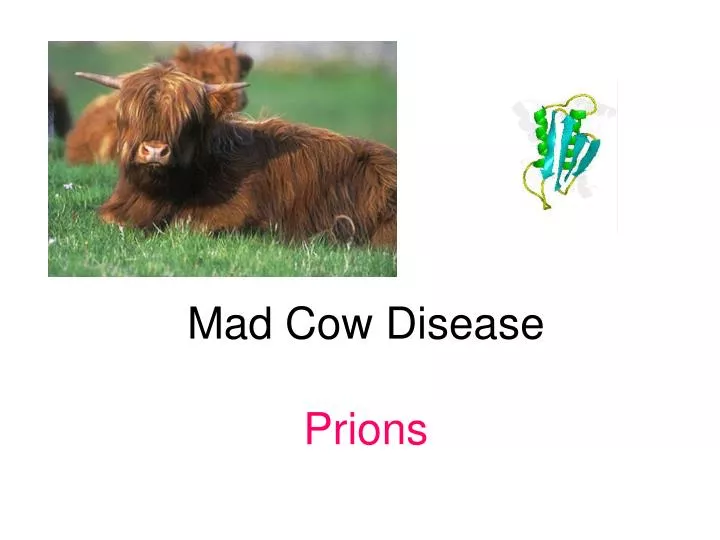 PPT - Mad Cow Disease Prions PowerPoint Presentation, free download ...