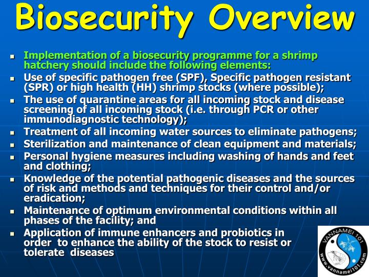 PPT - Shrimp Hatchery Biosecurity Guidelines PowerPoint Presentation ...