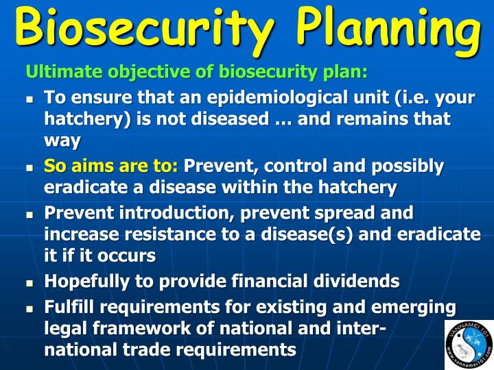 PPT - Shrimp Hatchery Biosecurity Guidelines PowerPoint Presentation ...