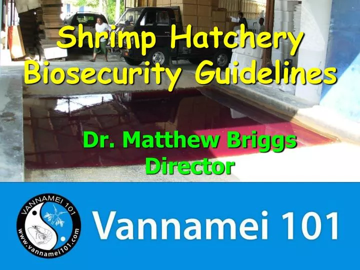 PPT - Shrimp Hatchery Biosecurity Guidelines PowerPoint Presentation ...
