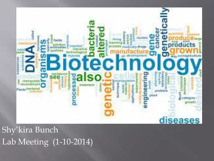 PPT - Lab Meeting PowerPoint Presentation, free download - ID:3876359