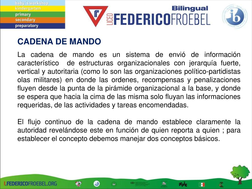 PPT - ESTRUCTURA ORGANIZACIONAL PowerPoint Presentation, free download ...
