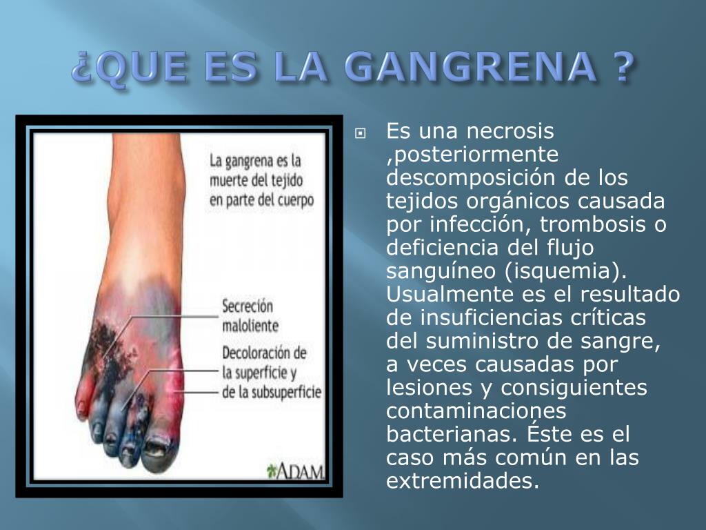 PPT - PRESENTADO POR MARIA ALEJANDRA ROJAS FUAA 2010 PowerPoint ...
