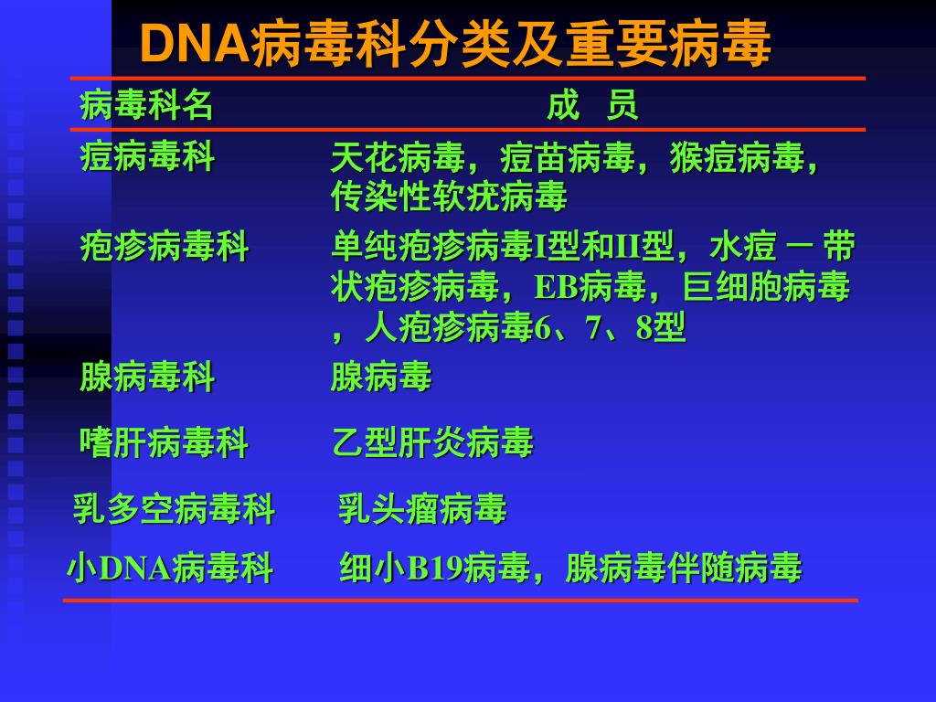 PPT - 第二篇 医学病毒学 medical virology PowerPoint Presentation - ID:3880028