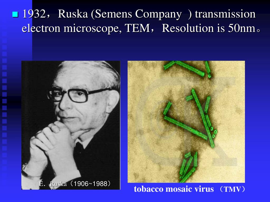 PPT - 第二篇 医学病毒学 medical virology PowerPoint Presentation - ID:3880028