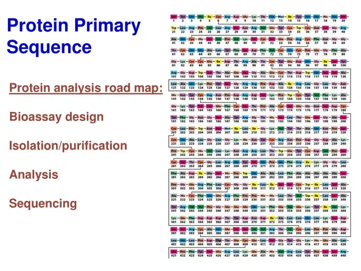 PPT - Protein Primary Sequence PowerPoint Presentation, free download ...