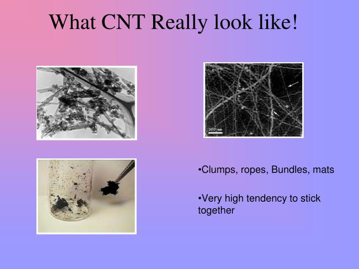 PPT - Carbon NanoTube(CNT) Process & Application PowerPoint ...