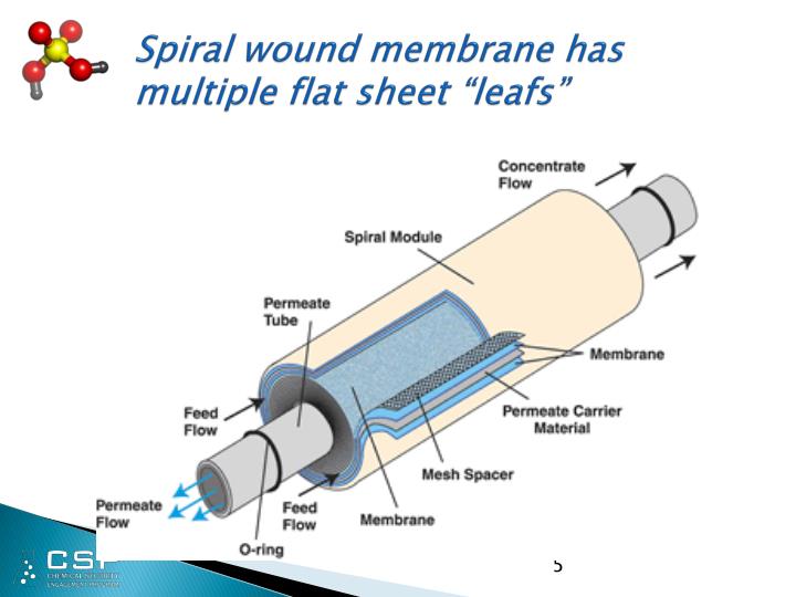 PPT - Introduction to Membranes PowerPoint Presentation - ID:3880830