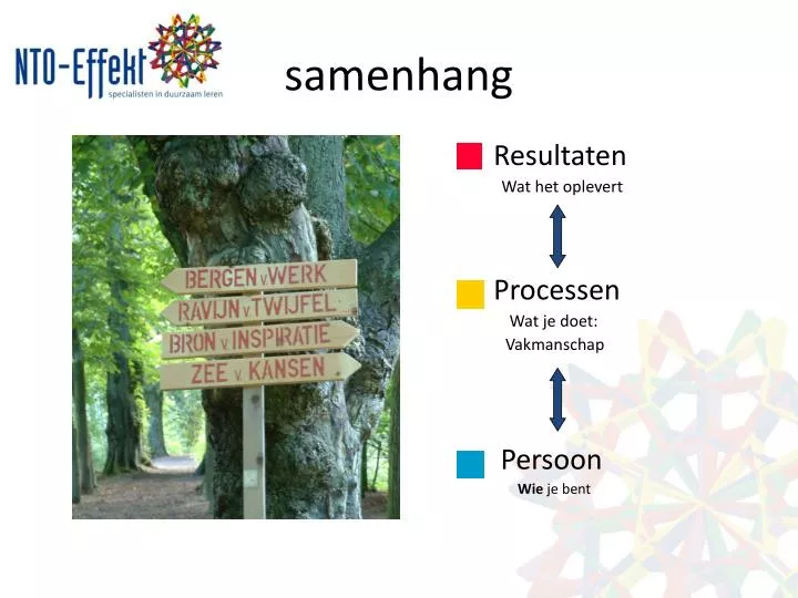 PPT - samenhang PowerPoint Presentation, free download - ID:3880899