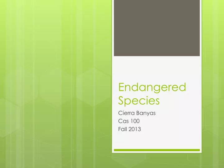 PPT - Endangered Species PowerPoint Presentation, free download - ID ...