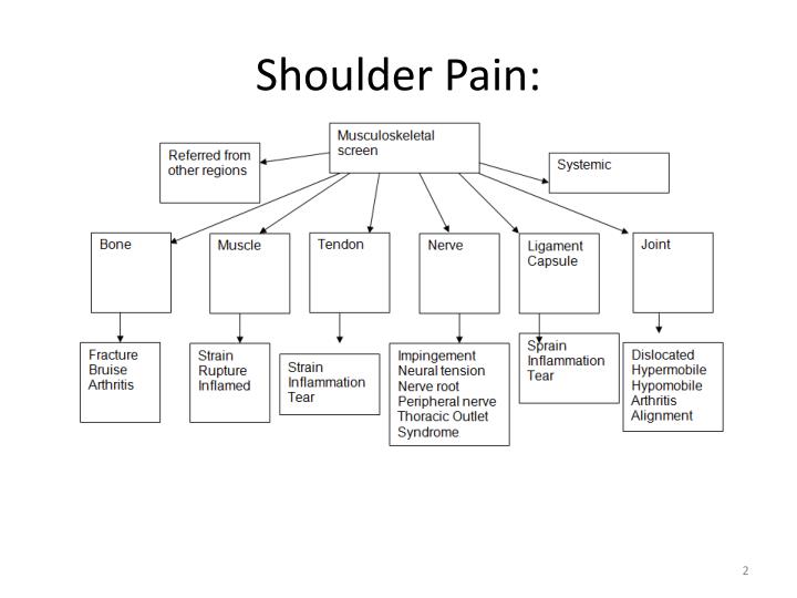 PPT - Shoulder Girdle Pathology PowerPoint Presentation - ID:3882186