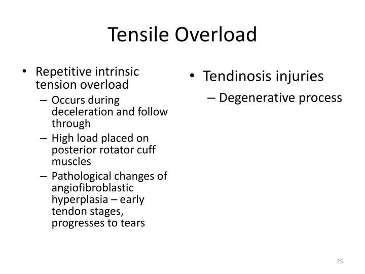 PPT - Shoulder Girdle Pathology PowerPoint Presentation - ID:3882186