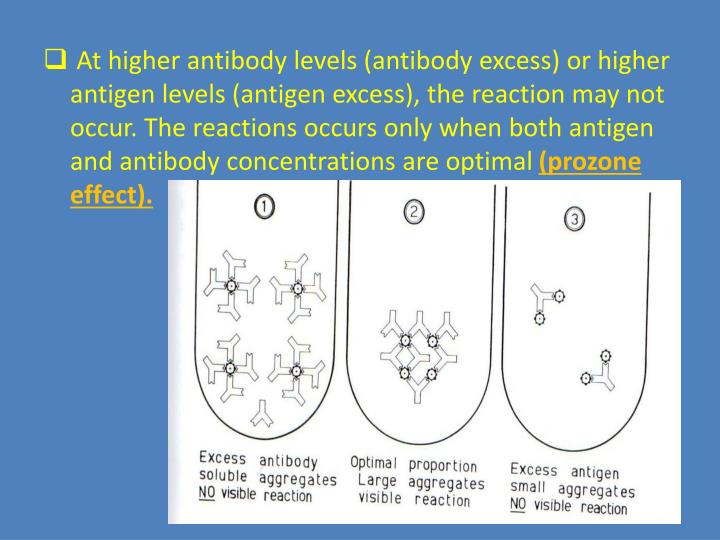 PPT - ANTIGEN ANTIBODY REACTIONS PowerPoint Presentation - ID:3882512
