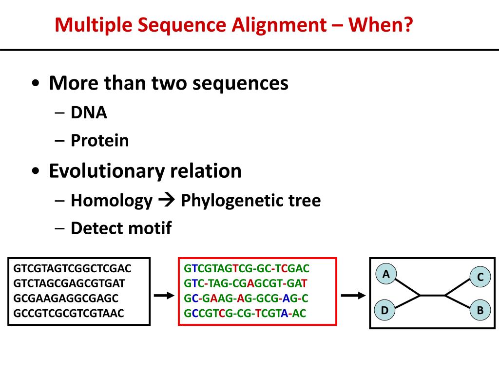 PPT - Multiple sequence alignment PowerPoint Presentation, free ... PPT - Multiple sequence alignment PowerPoint Presentation, free ...