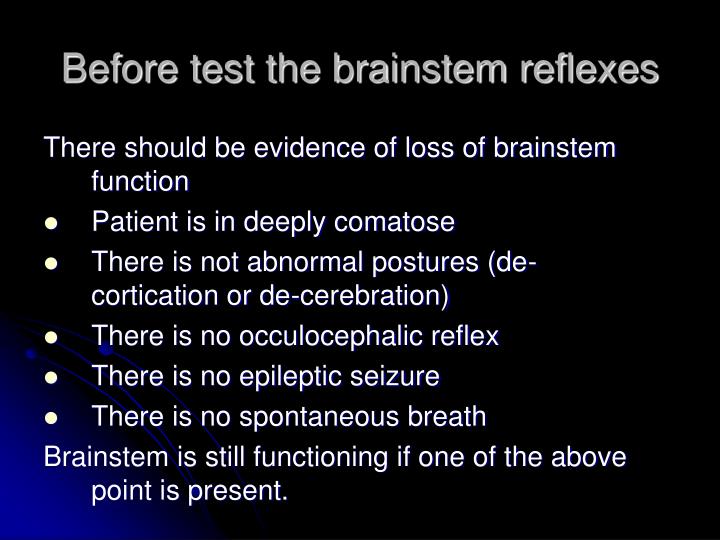PPT - Brainstem death PowerPoint Presentation - ID:3883681