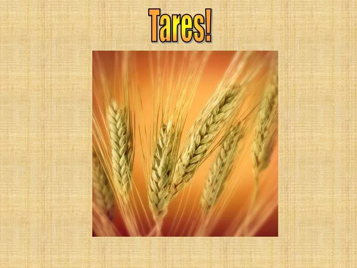 PPT - Tares! PowerPoint Presentation, free download - ID:3884966