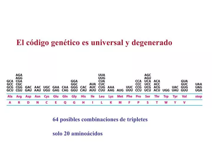 PPT - El código genético es universal y degenerado PowerPoint ...
