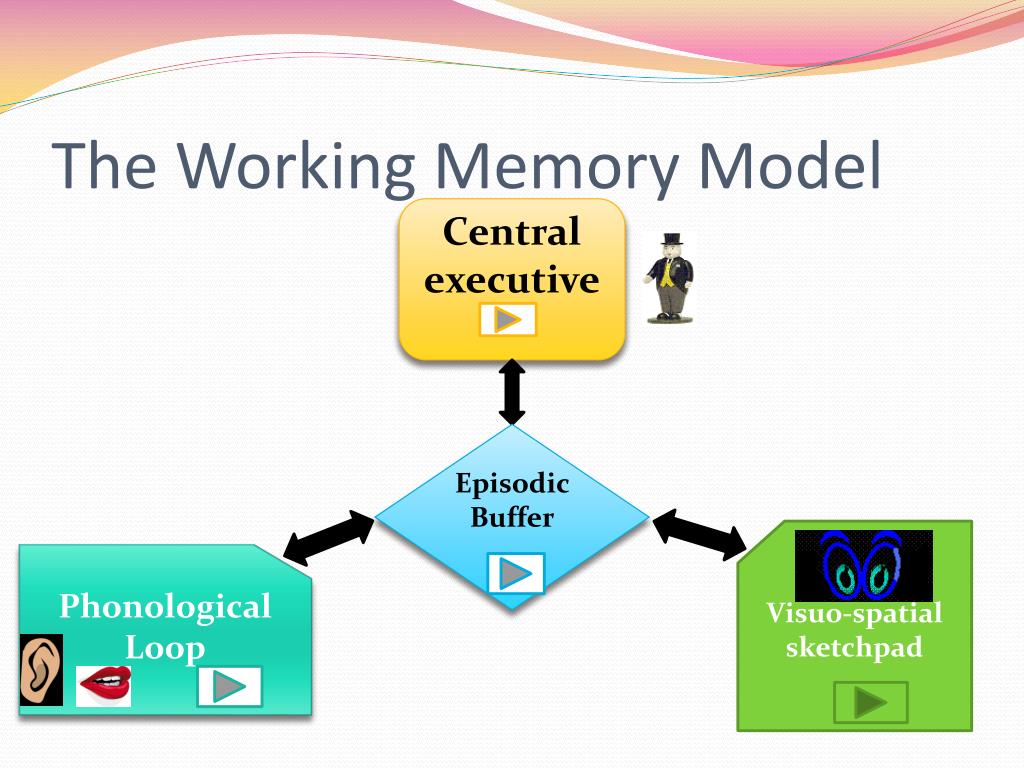 PPT The Working Model Of Memory PowerPoint Presentation Free 