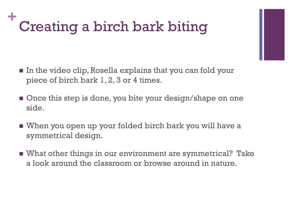PPT - Rosella Carney Birch Bark Biting Artist PowerPoint Presentation ...