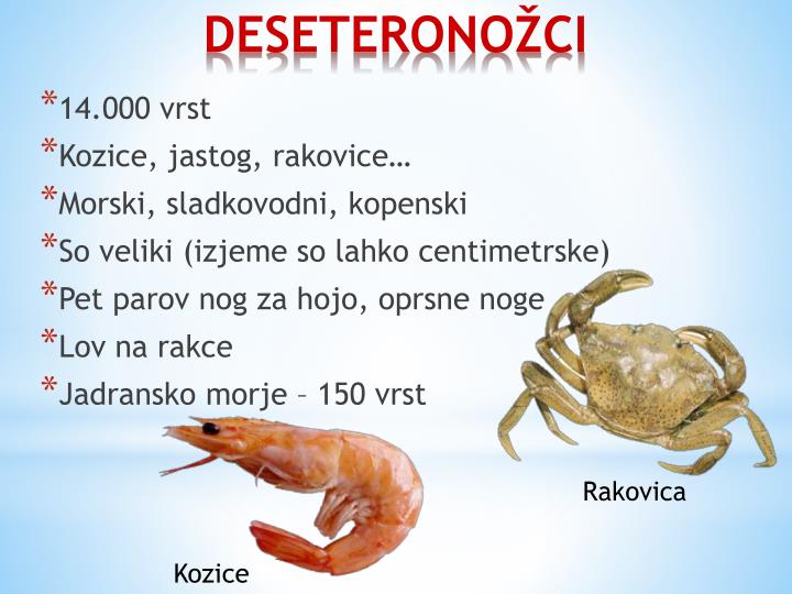 PPT - RAKI PowerPoint Presentation - ID:3888013