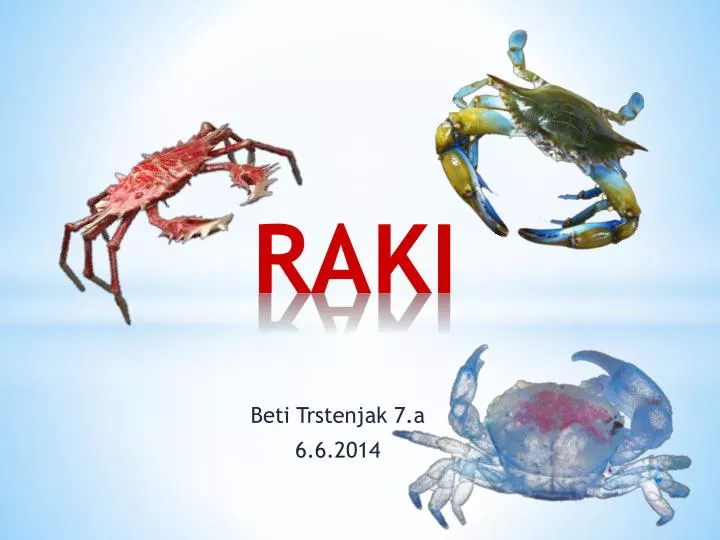 PPT - RAKI PowerPoint Presentation, free download - ID:3888013