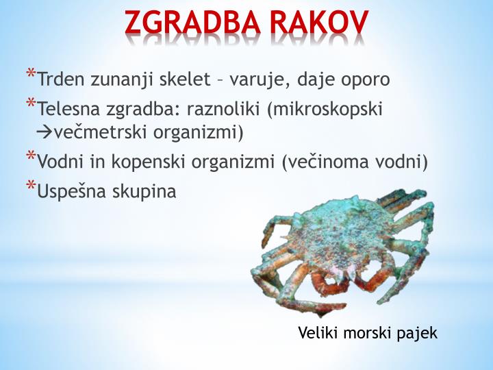 PPT - RAKI PowerPoint Presentation - ID:3888013