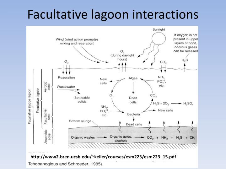 PPT - BioE 411 and AE/CE/BRT 511 Wastewater treatment PowerPoint ...