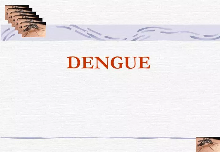 PPT - DENGUE PowerPoint Presentation, free download - ID:3889710