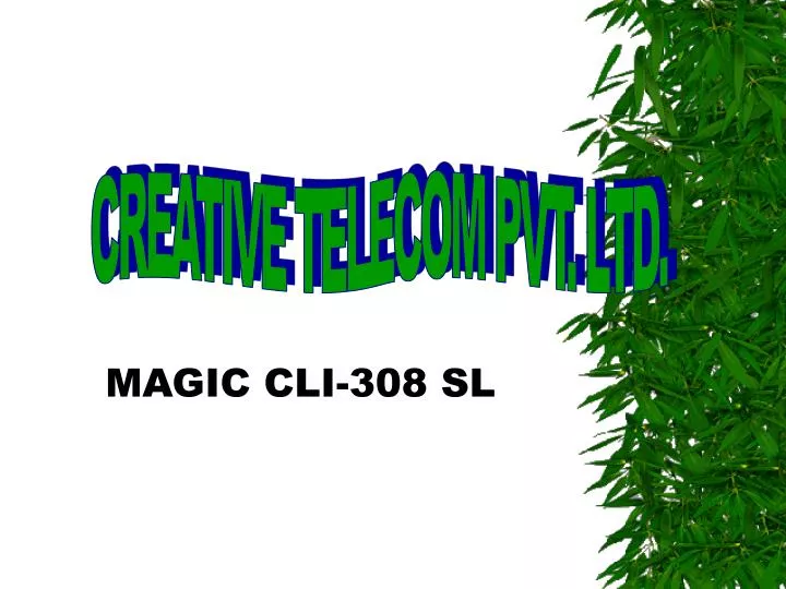 PPT - MAGIC CLI-308 SL PowerPoint Presentation, free download - ID:3891842