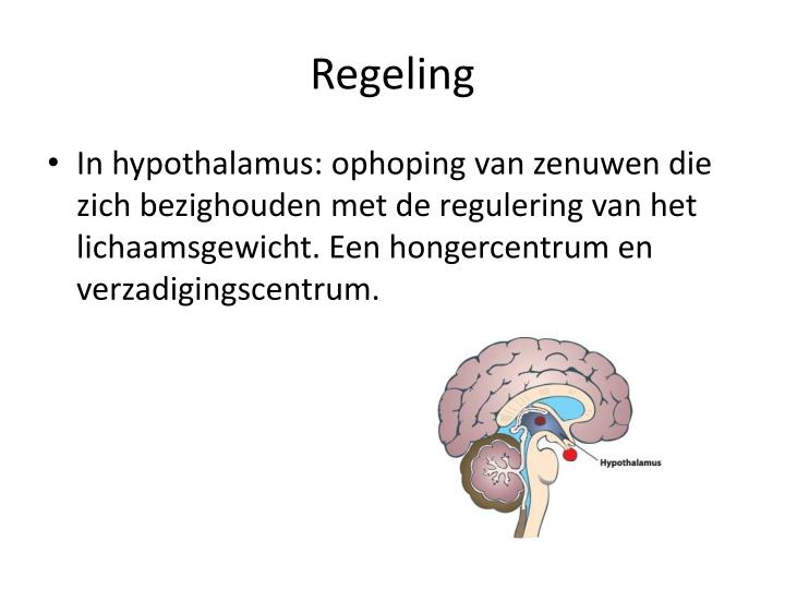PPT - Voeding en vertering PowerPoint Presentation - ID:3892709