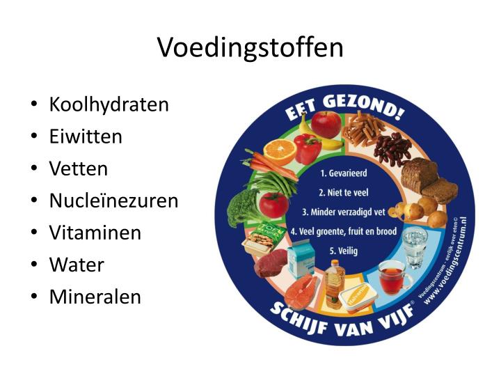 PPT - Voeding en vertering PowerPoint Presentation - ID:3892709