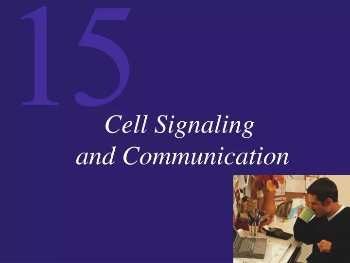 PPT - Cell Signaling and Communication PowerPoint Presentation, free ...