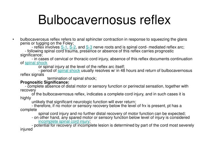 Bulbocavernosus Reflex